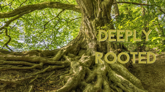 Deeply Rooted – Predestinated